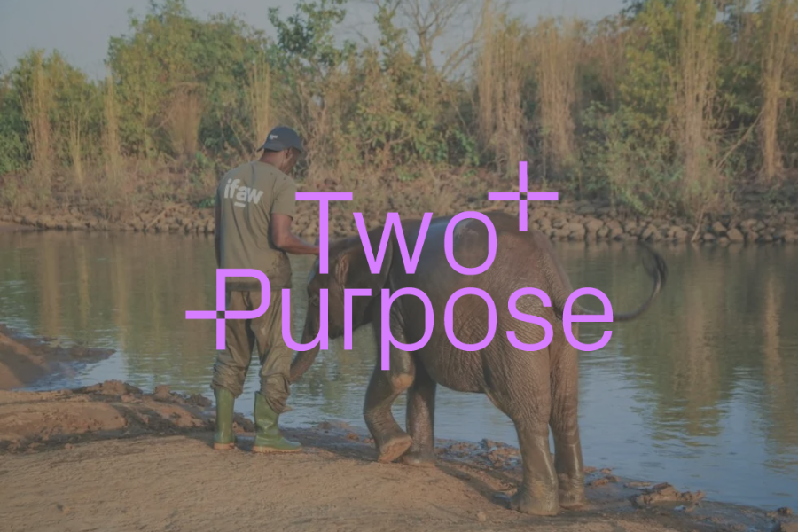 Onze Salesforce-oplossingen voor nonprofits | TwoPurpose